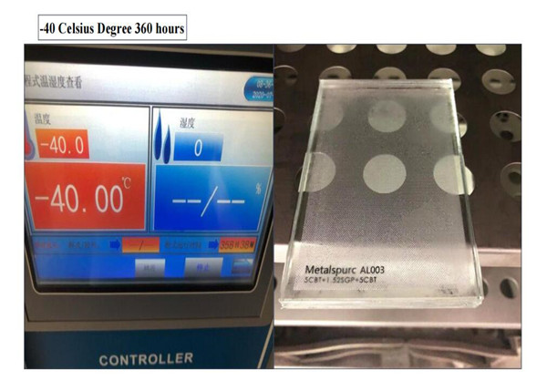 5mm SGP Laminated Glass Wall Panels For Glass Curtain Wall