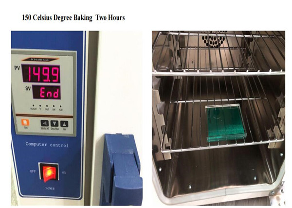 5mm SGP Laminated Glass Wall Panels For Glass Curtain Wall