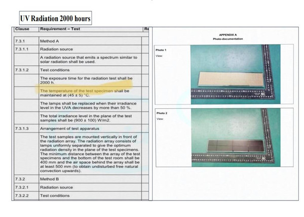 5mm SGP Laminated Glass Wall Panels For Glass Curtain Wall